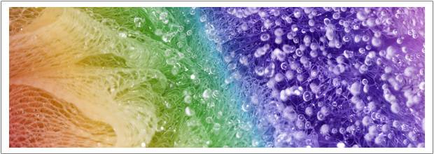 The 7 Chakras, What They Are, and How to Work With Each One